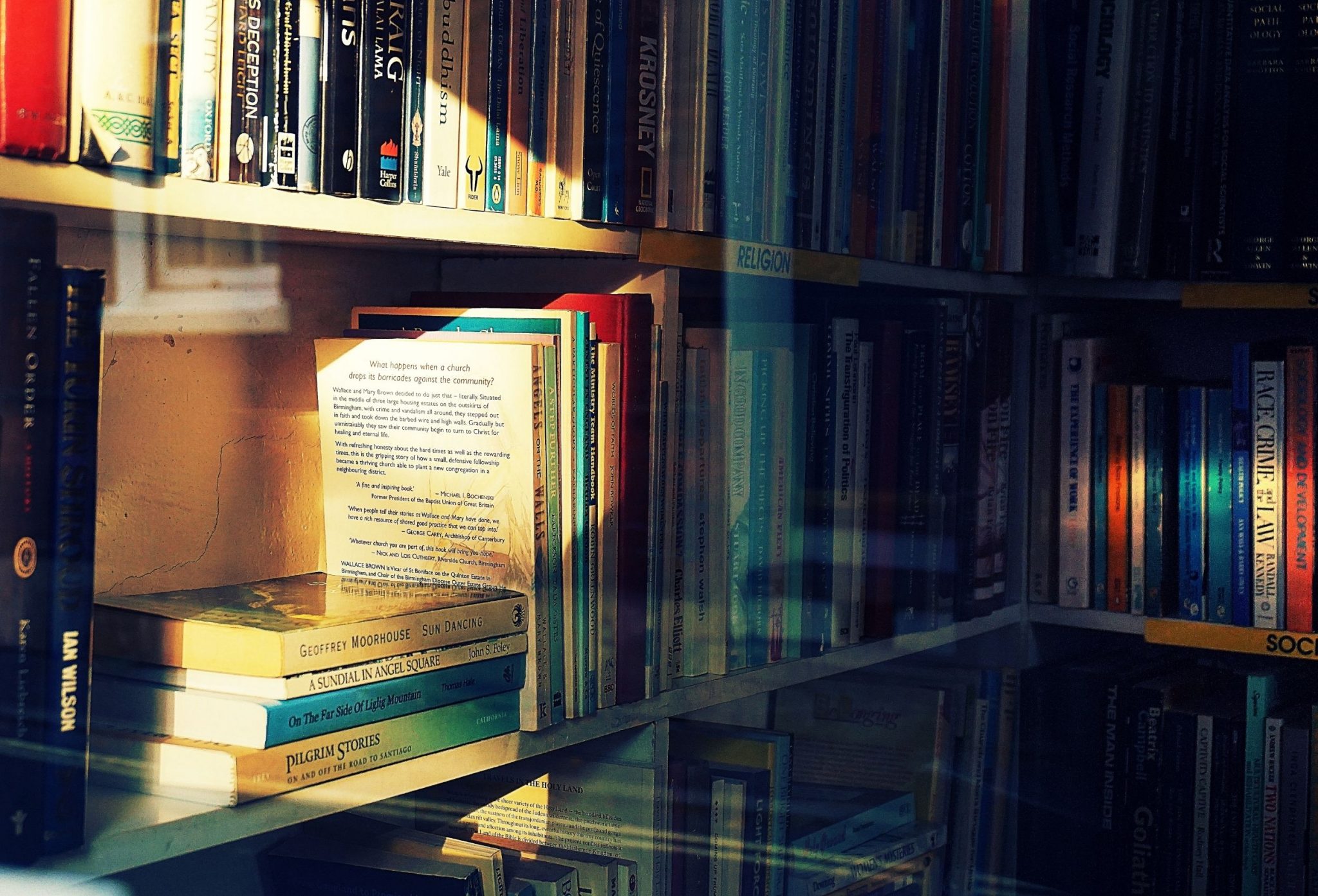 Exploring the Depths of Dystopian Genre Symbols: A Journey Through ...