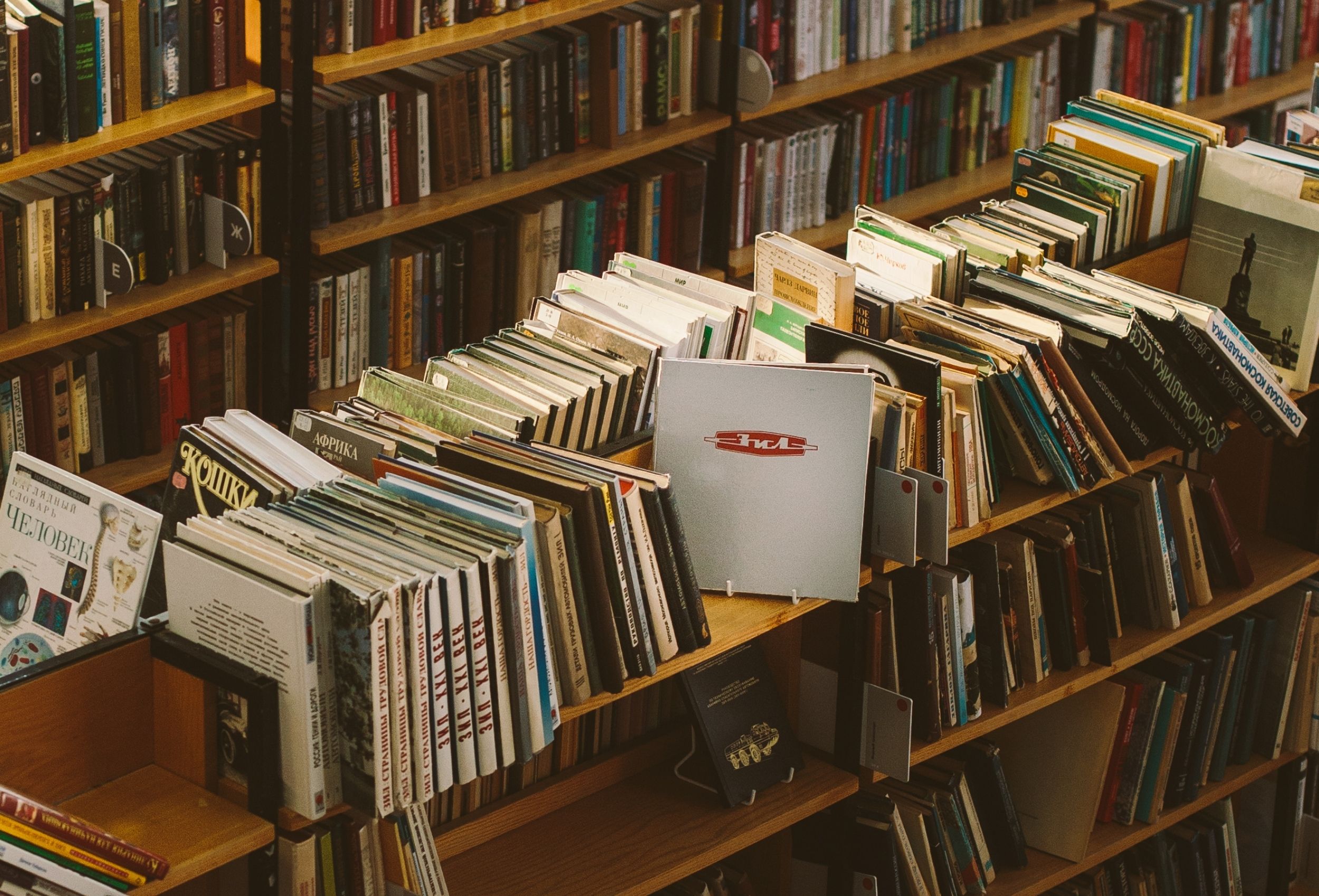 Exploring the Depths of Realism in Contemporary Fiction