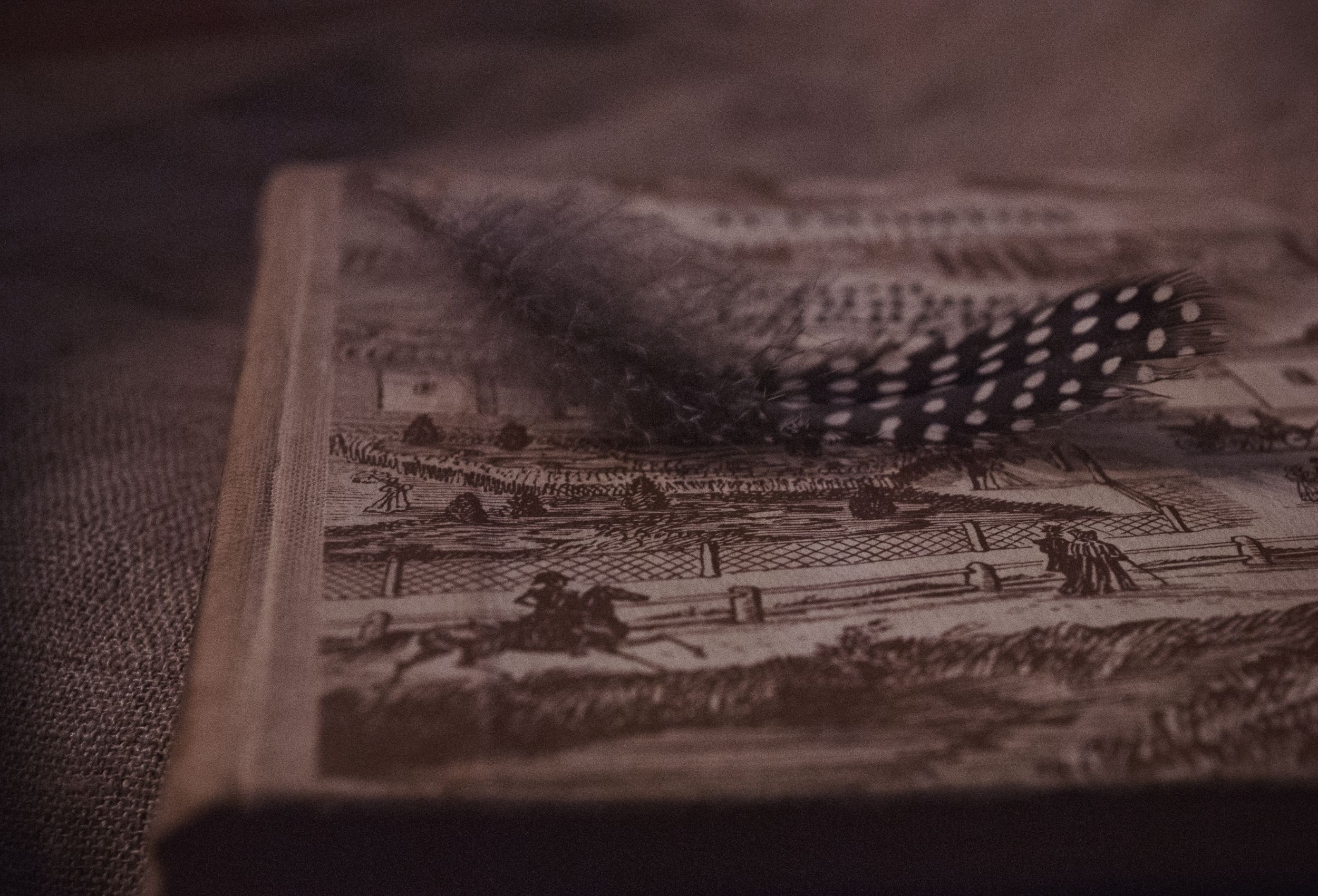 Decoding the Symbols of Science Fiction: A Deep Dive into Sci-Fi's Rich ...